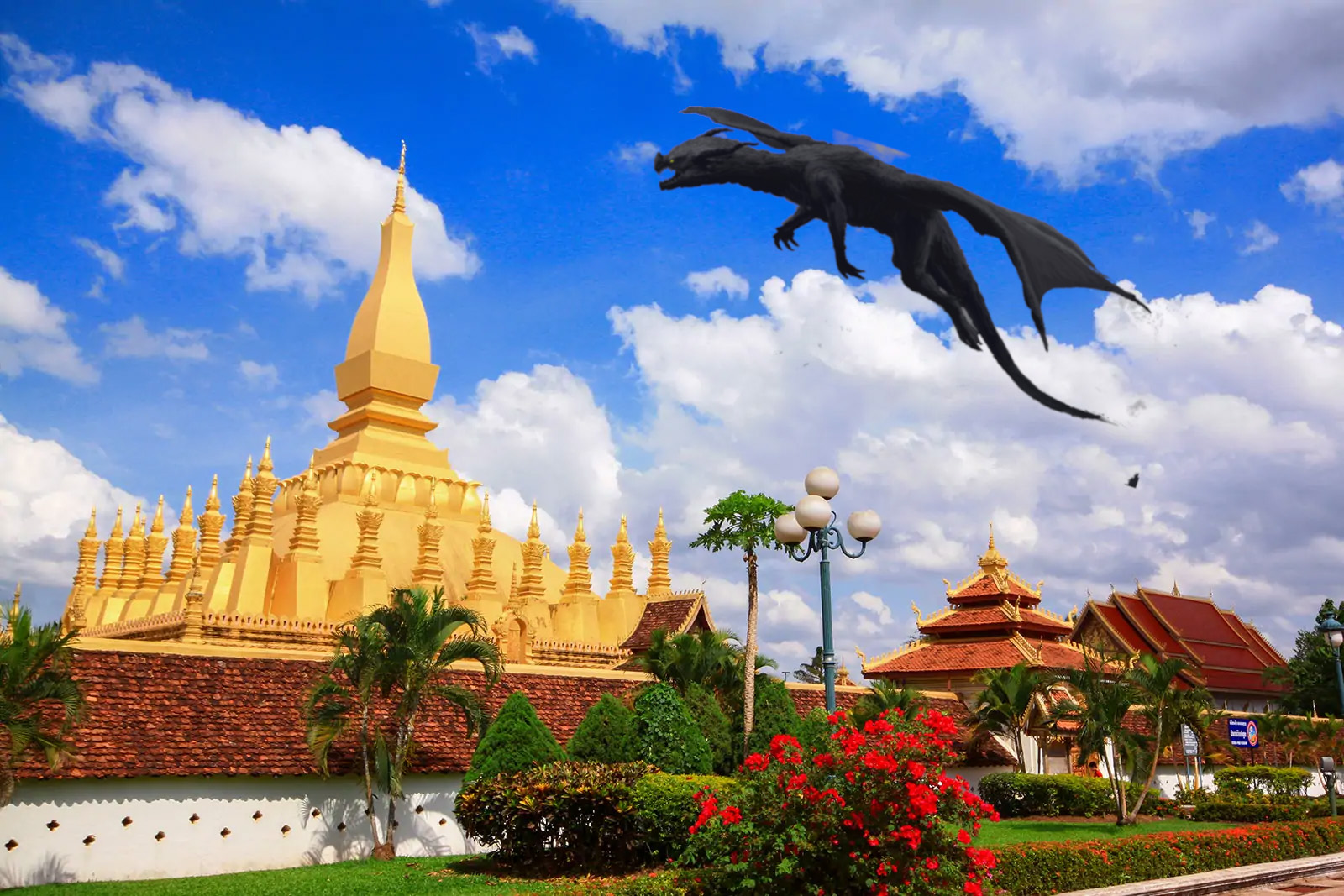 Activities – Sujipuli