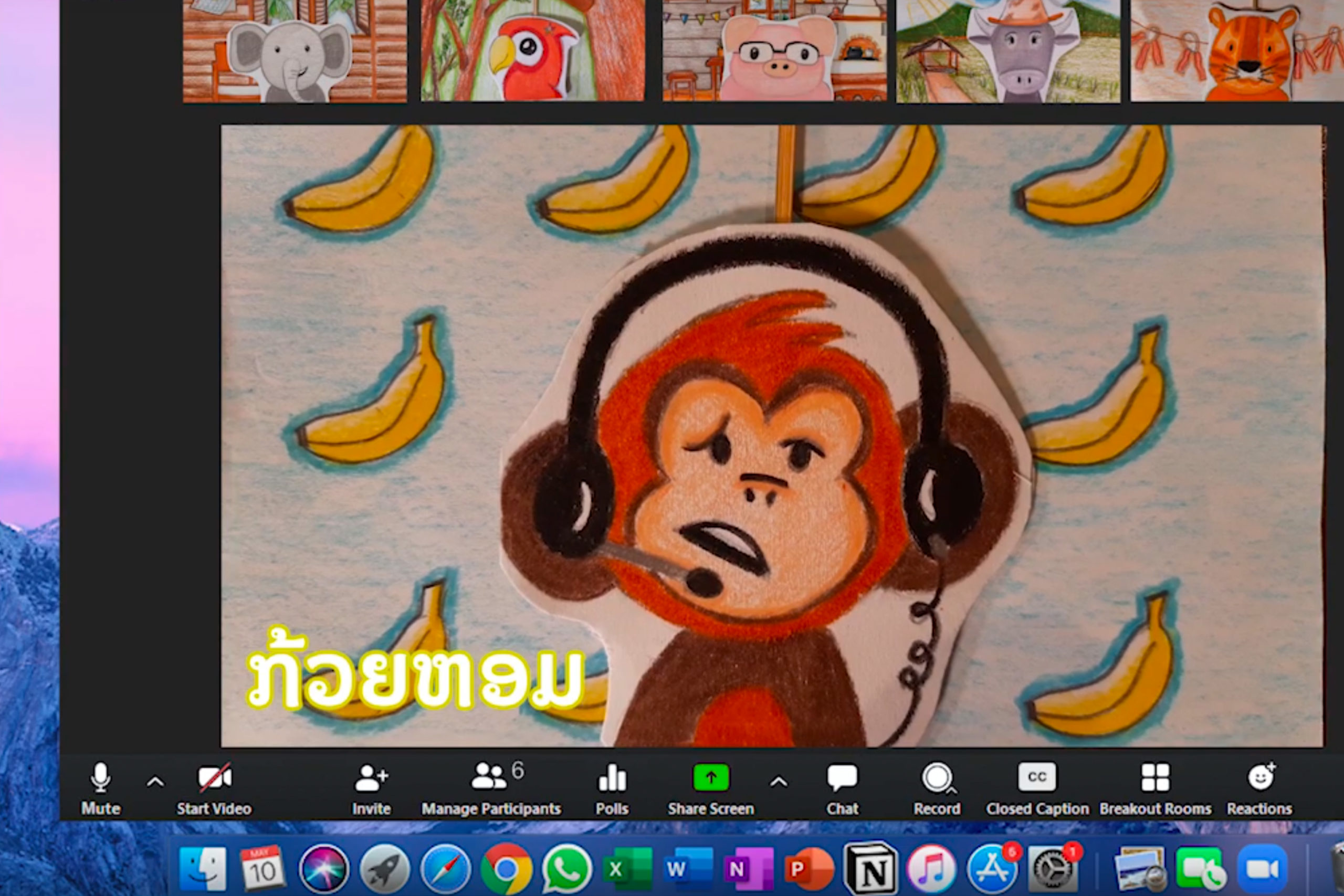 Activities – Sujipuli